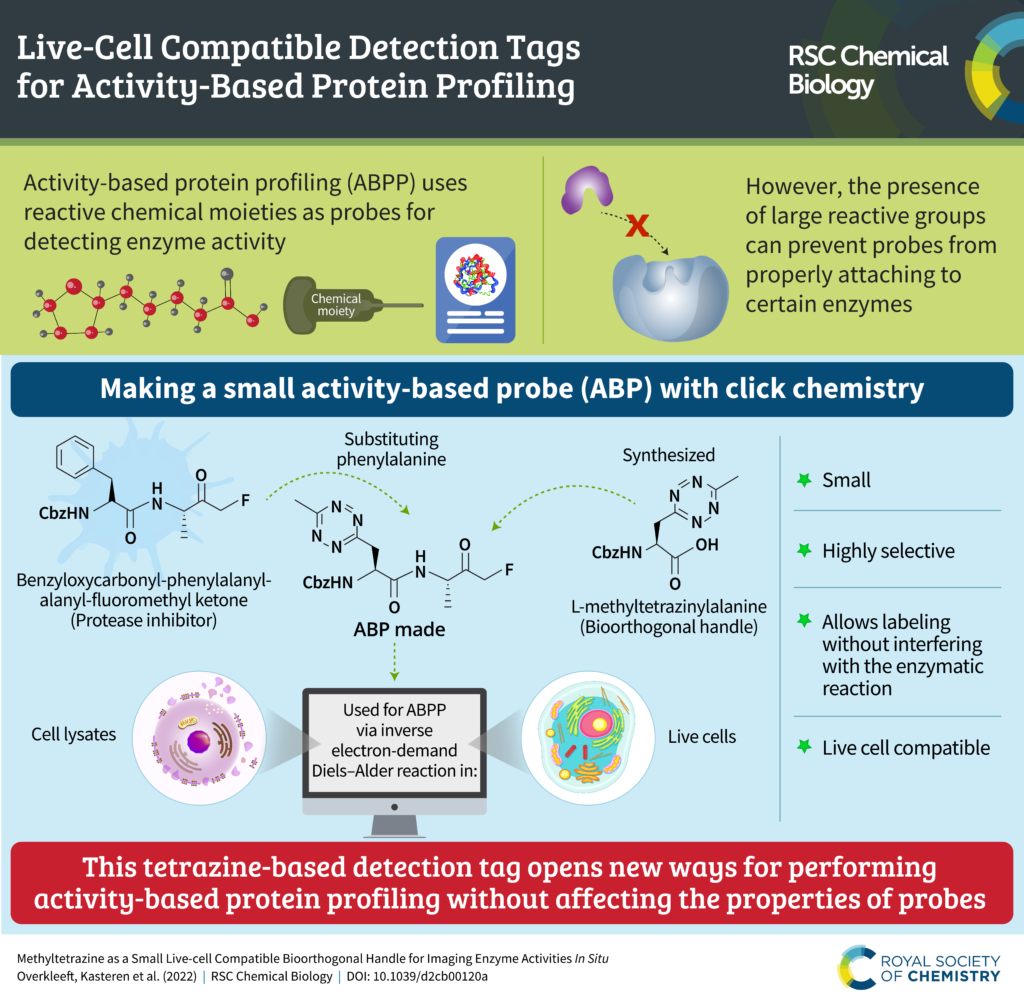 Infographic – RSC Chemical Biology Blog