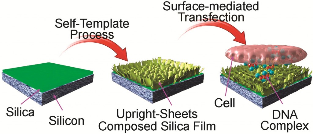 Silica sheets to deliver DNA into cells for disease prevention and ...