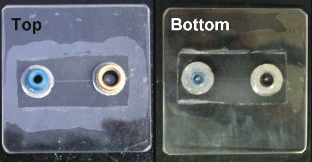 Interfacing and integration – Page 2 – Chips and Tips
