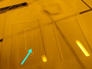 Easy and inexpensive fabrication of PDMS films of different thicknesses ...