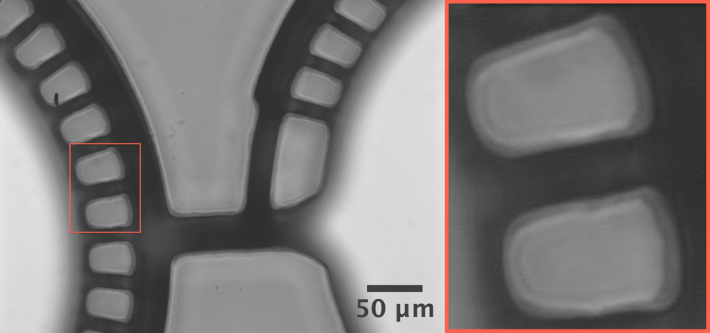 A simple and inexpensive device to remove edge beads – Chips and Tips