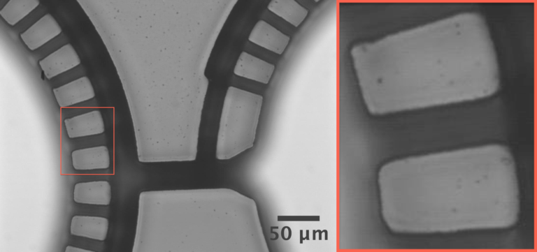 A simple and inexpensive device to remove edge beads – Chips and Tips