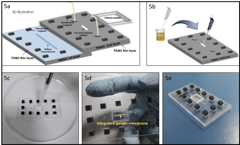 Cells – Chips and Tips
