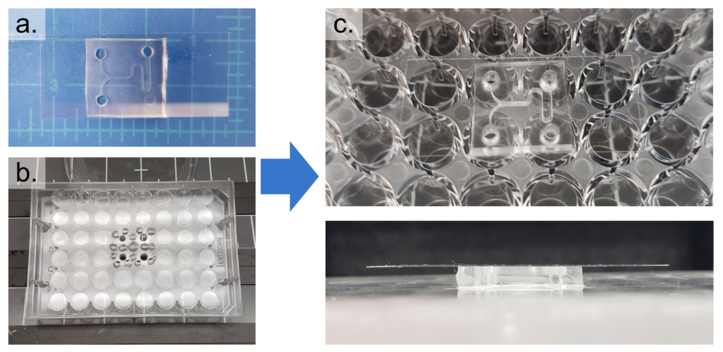 Cutting the cords: Two paths to well-plate microfluidics – Chips and Tips