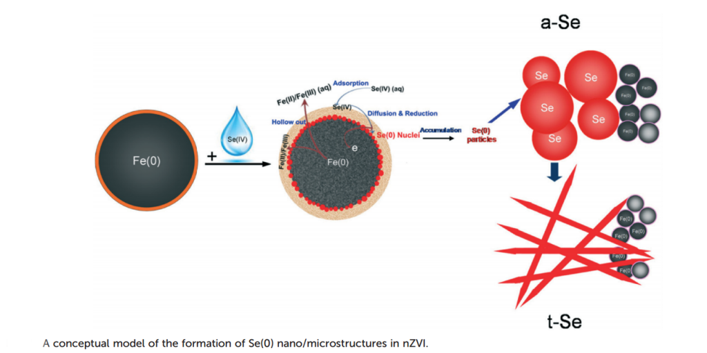 An economical solution for the removal of selenium contaminants in ...