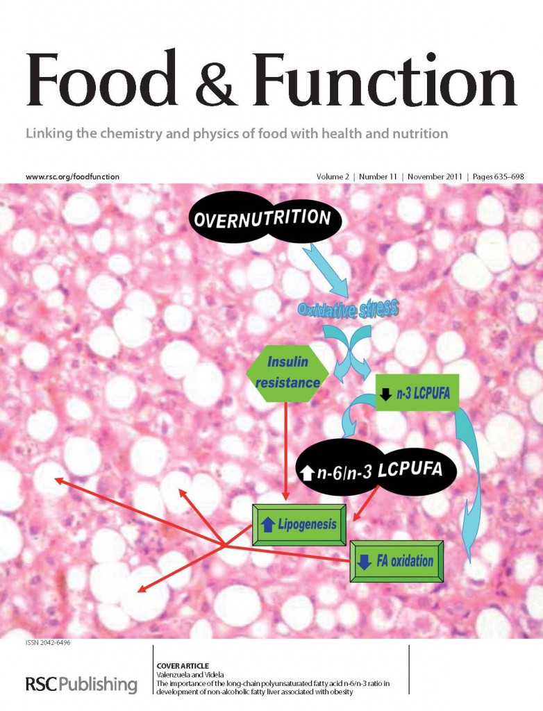 Food & Function Issue 11 now online – Food & Function Blog