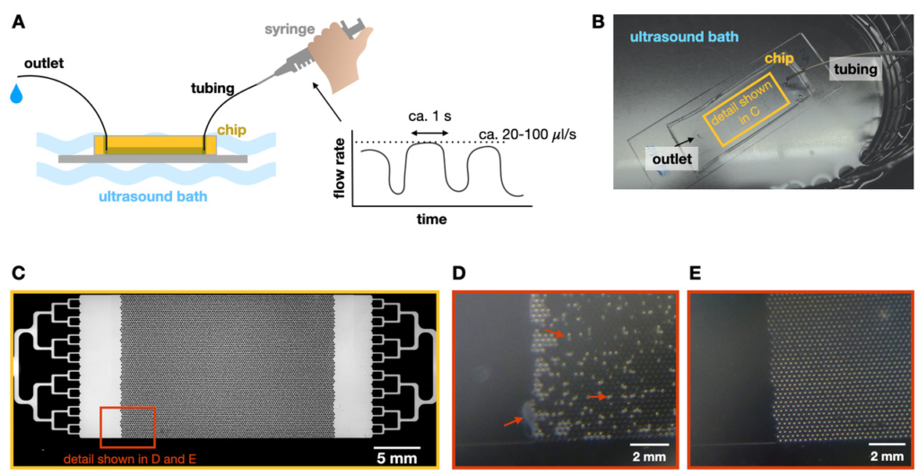 Avoiding air bubbles when filling microfluidic chips by use of an ...