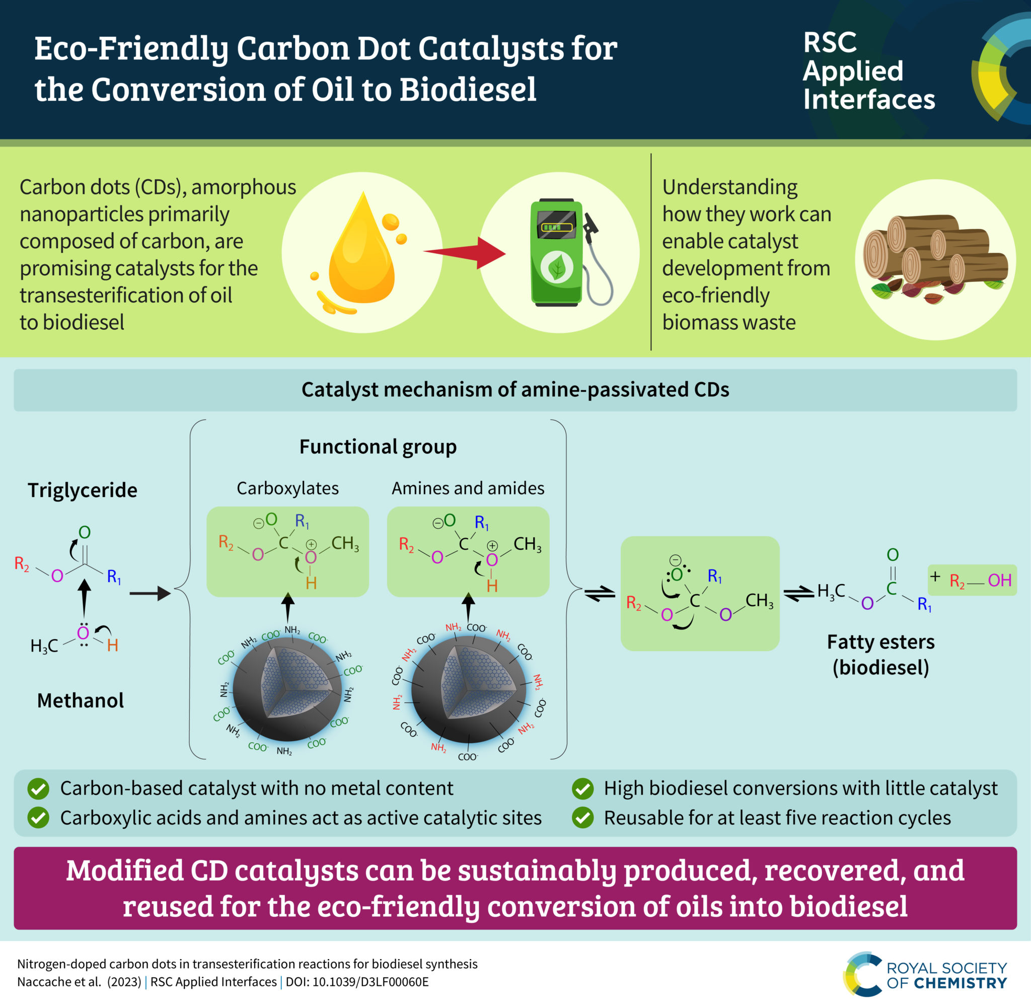 Eco-Friendly Carbon Dot Catalysts for the Conversion of Oil to ...