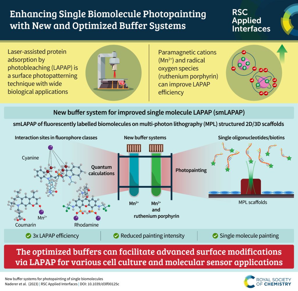 Enhancing Single Biomolecule Photopainting with New and Optimized ...