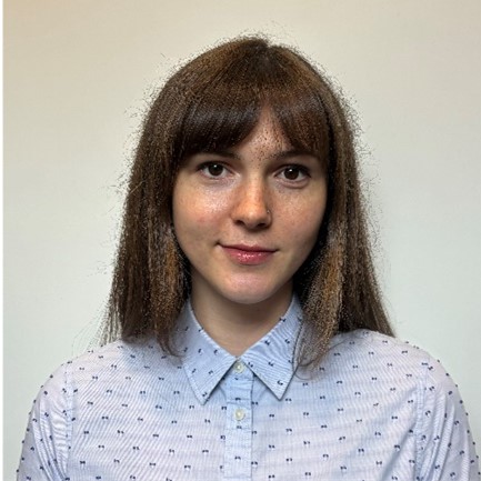 RSC Applied Interfaces Blog