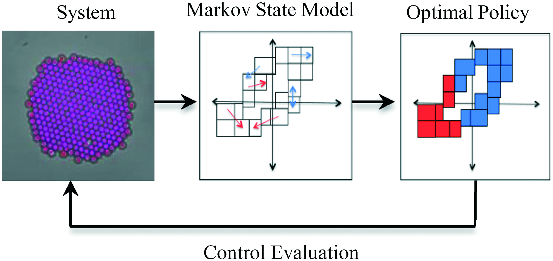 Celebrating International Women’s Day in MSDE – Molecular Systems ...