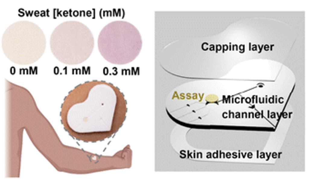 Materials Horizons Blog