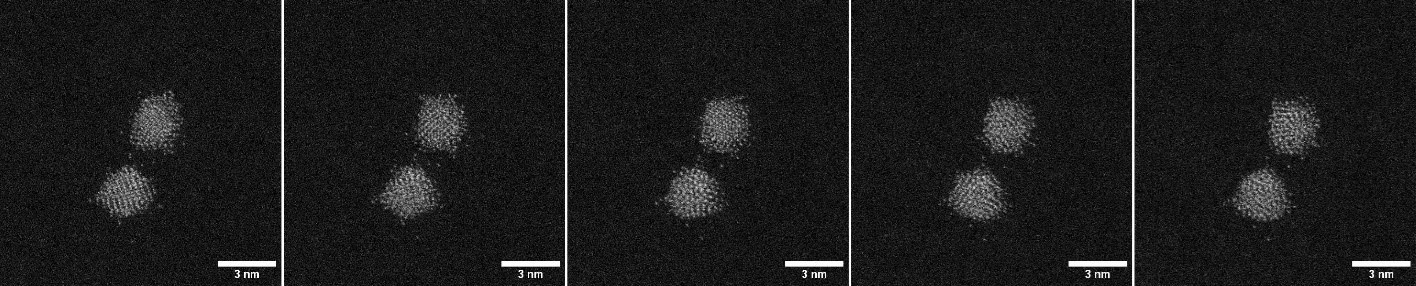 Time’s dance with gold: tracking the isomeric fluctuations of Au ...