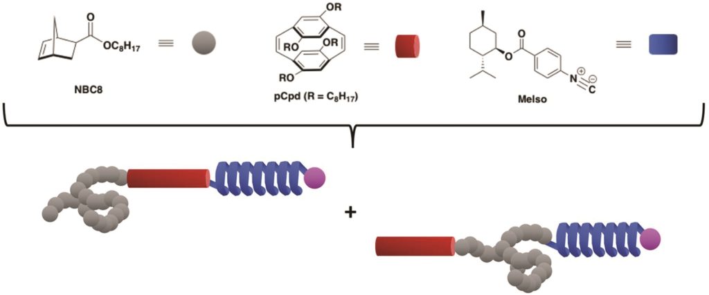 Paper of the month: Synthesis of sheet-coil-helix and coil-sheet-helix ...