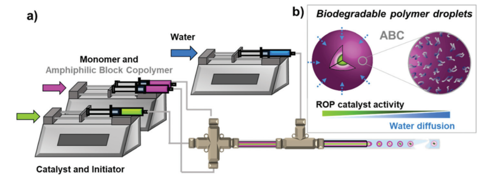 Paper of the month: ‘Design rules for performing water-sensitive ring ...