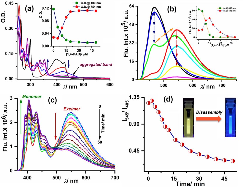 Pyrene-based transient assembly and disassembly to harvest smart ...