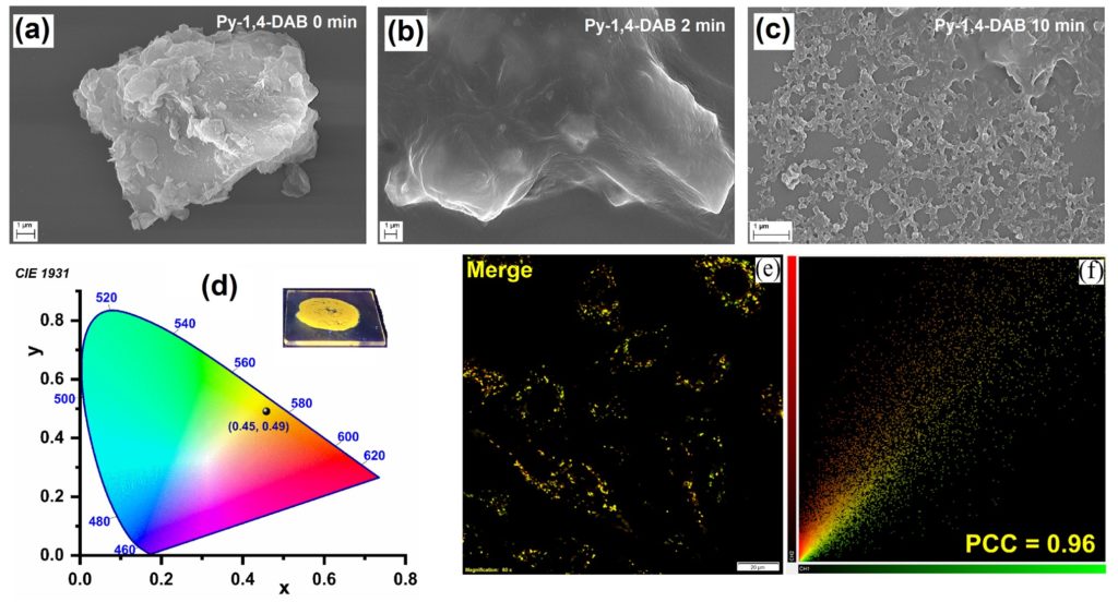 Pyrene-based transient assembly and disassembly to harvest smart ...