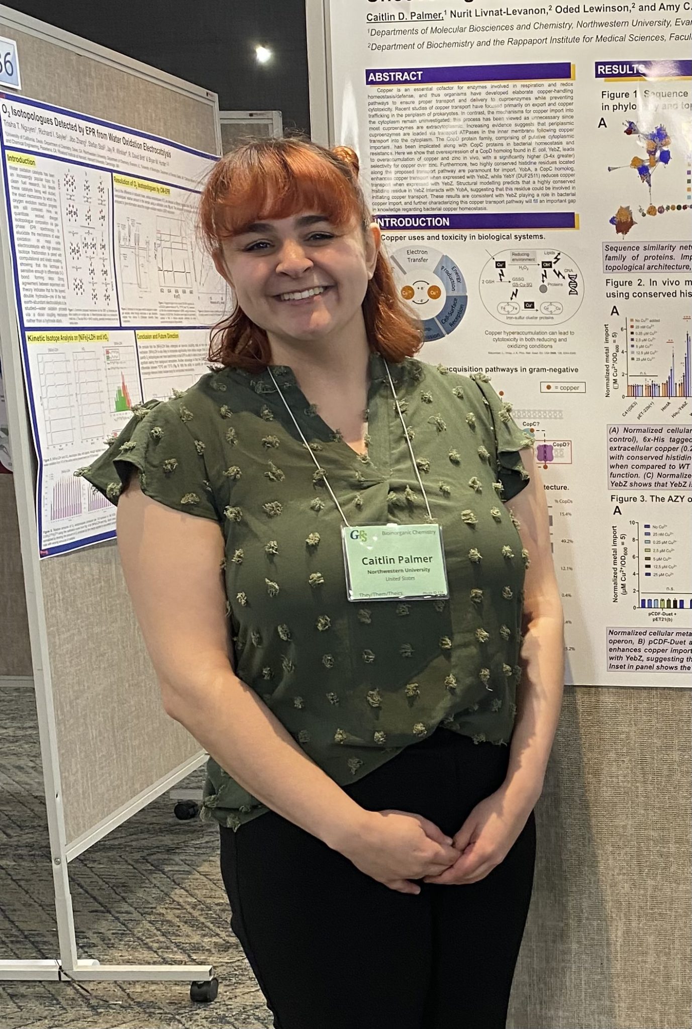 Bioinorganic Chemistry (GRS) – Interview with Caitlin Palmer – RSC ...