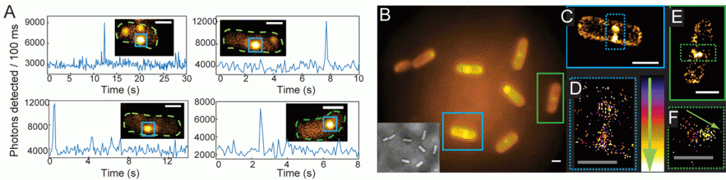 Super-resolution single-molecule imaging – Chemical Science Blog