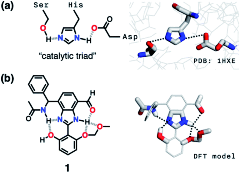 The more the merrier for hydrogen bonds in selective fluorescent probes ...