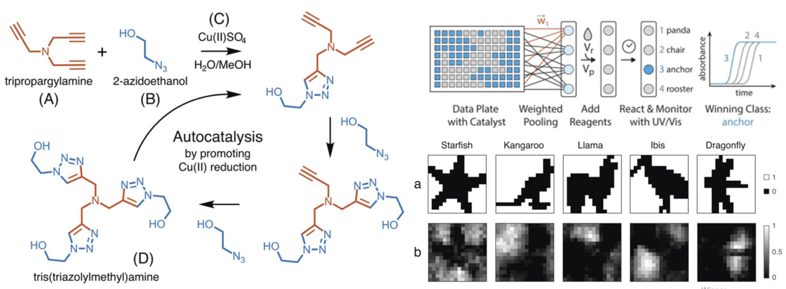 Chemical domain image recognition using autocatalysis – Chemical ...