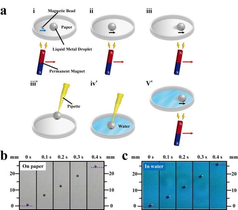 Magnetic Steering of Soft Liquid Metal Machines – Soft Matter Blog